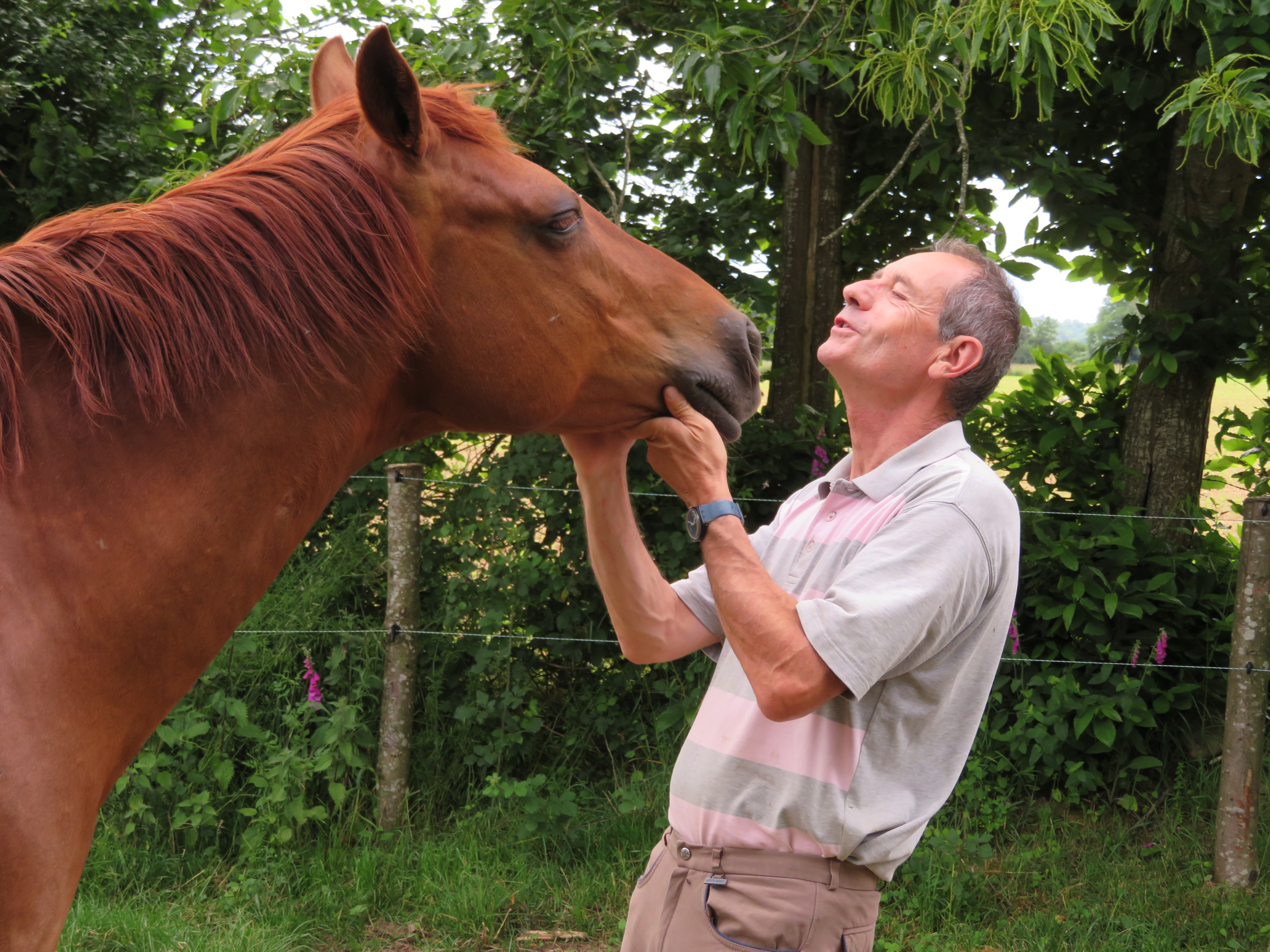 Qui sommes nous - Cheval et Patrimoine