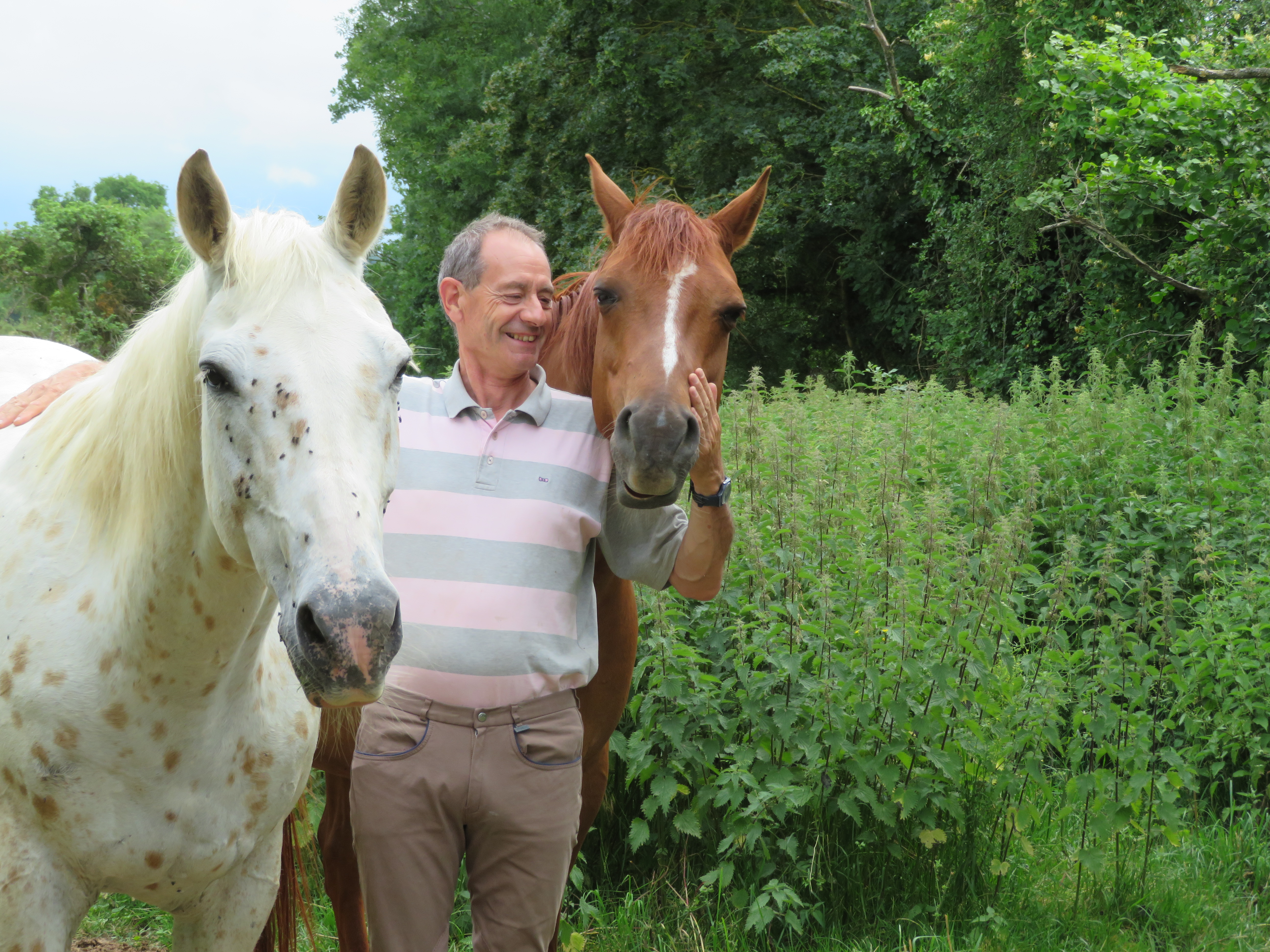Qui sommes nous - Cheval et Patrimoine